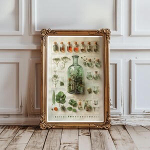 Chlorophyll Science Print Botanical Flower Print Floral Gift Poster ...