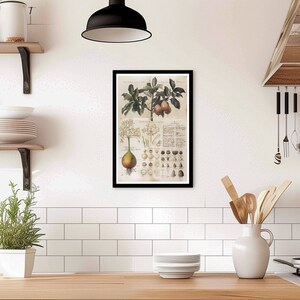 Neutral Botanical Illustration Art Plant Art Flower Print Trendy ...