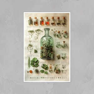 Chlorophyll Science Print Botanical Flower Print Floral Gift Poster ...