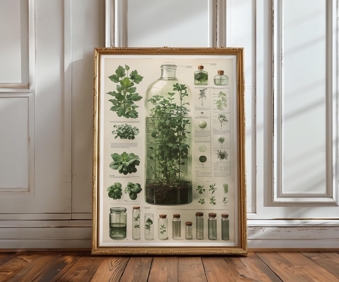 Chlorophyll Science Print Botanical Flower, Vintage Plant Study, Nature ...