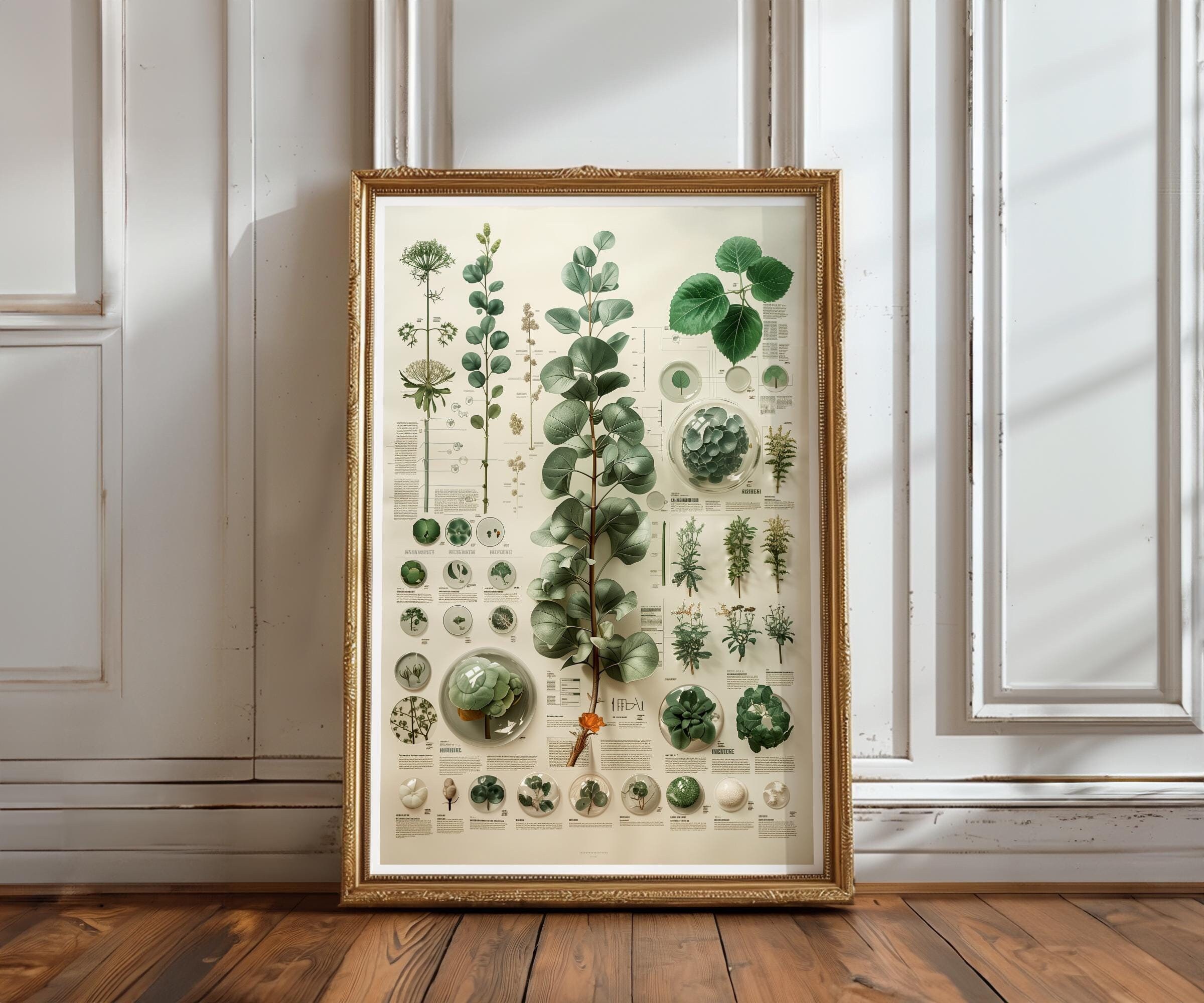 24x36 PRINTABLE Chlorophyll Science Print, Botanical Gift Poster ...