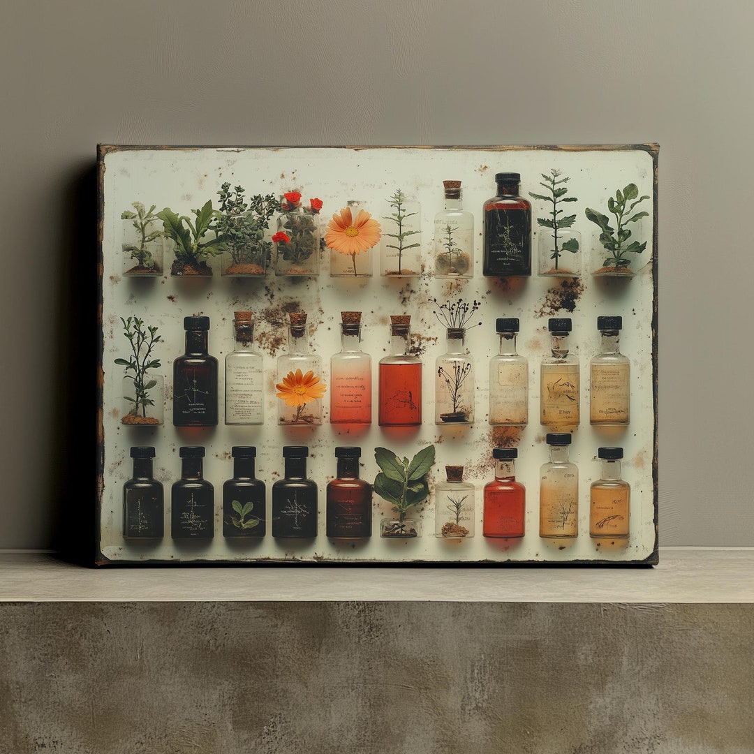 Vintage Botanical Apothecary Canvas - Herbal Illustration Wall Art ...