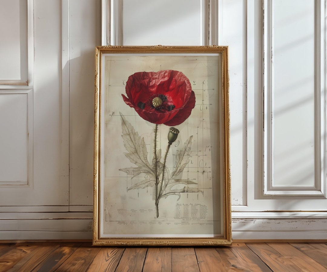 Poppy Botanical Art Red Poppy Wall Art Flower Poster Decor Nature Art ...