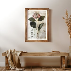 Hydrangea Art Neutral Botanical Plant Art Flower Print Trendy Interior ...