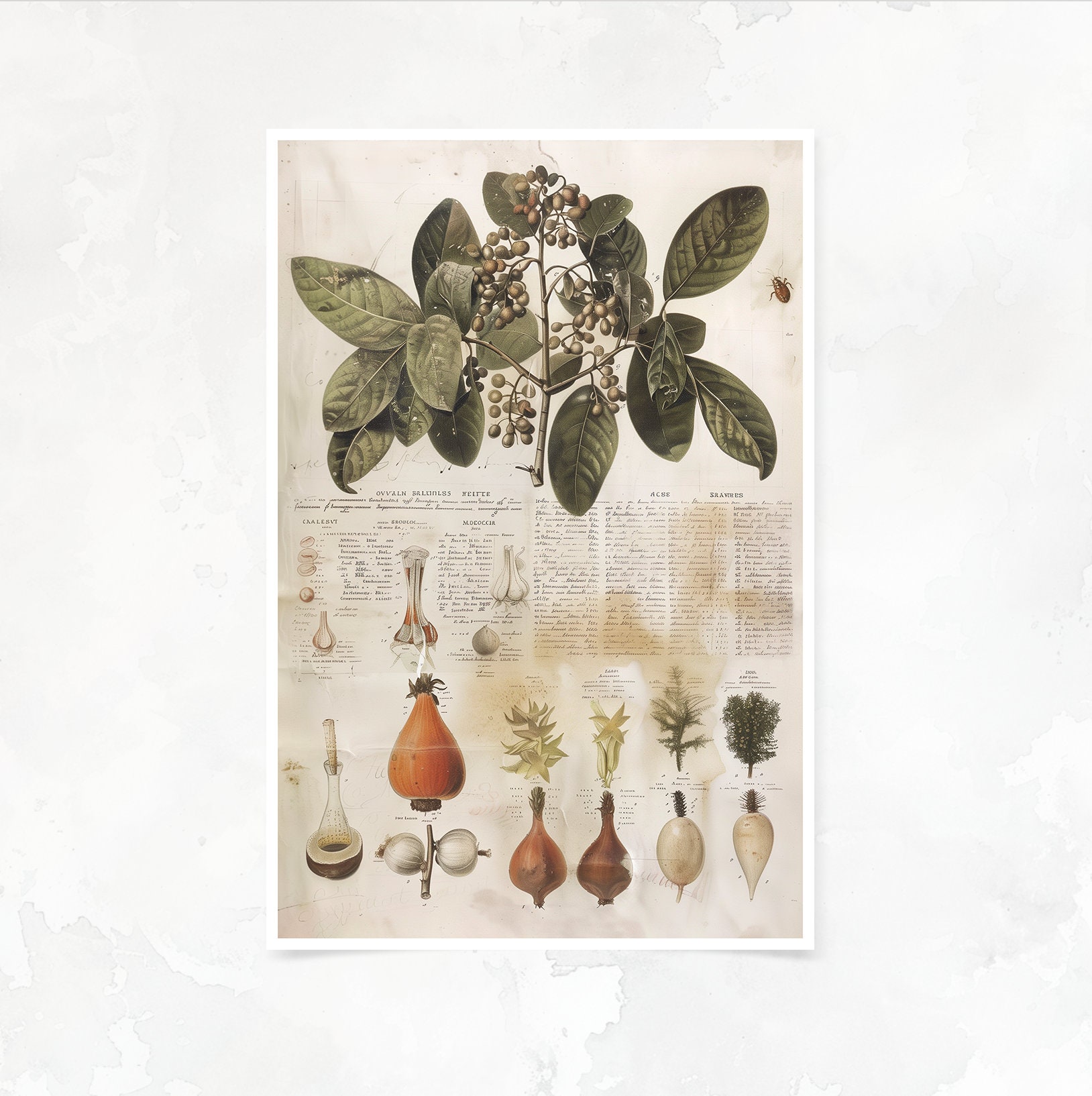 Neutral Botanical Plant Art Flower Print Knolling Art Trendy Interior ...