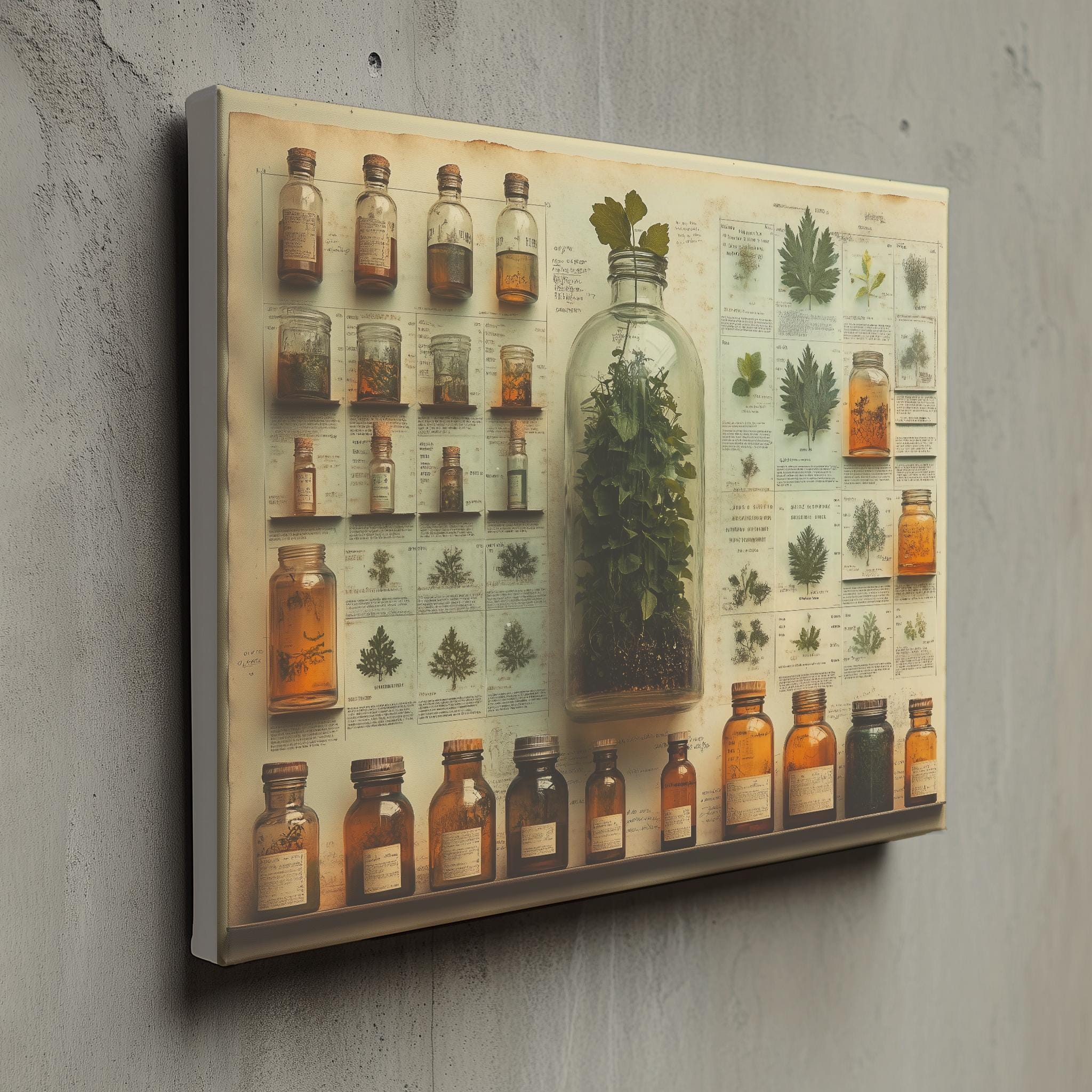 Vintage Botanical Apothecary Canvas - Herbal Specimen Art Print With ...