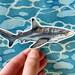 Reef Shark Sticker - Etsy