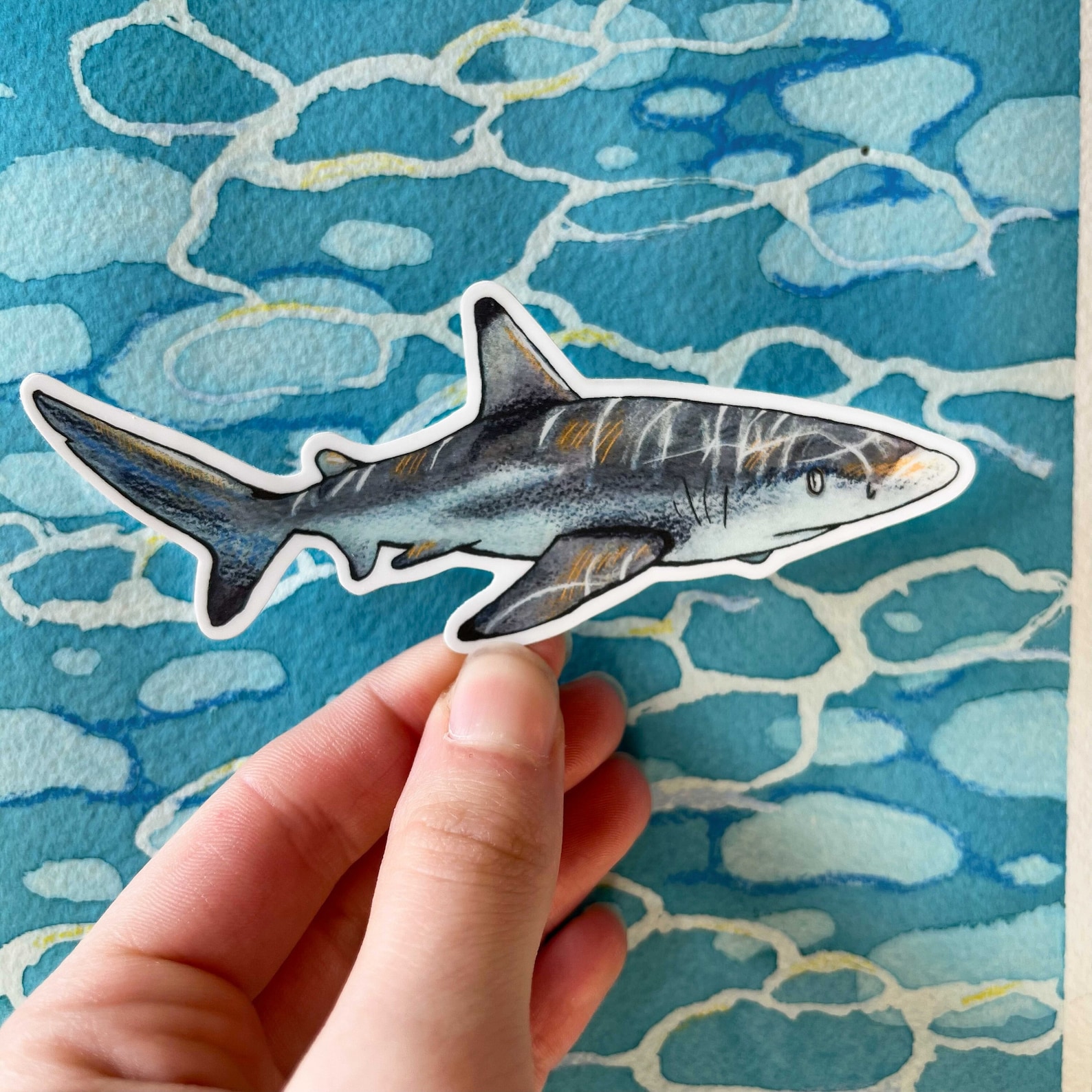 Reef Shark Sticker, Shark Sticker, Reef Shark, Shark, Ocean, Fish, Fish ...