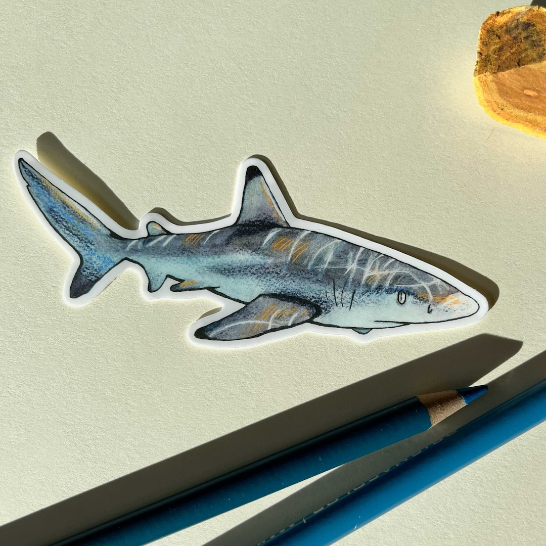 Reef Shark Sticker - Etsy