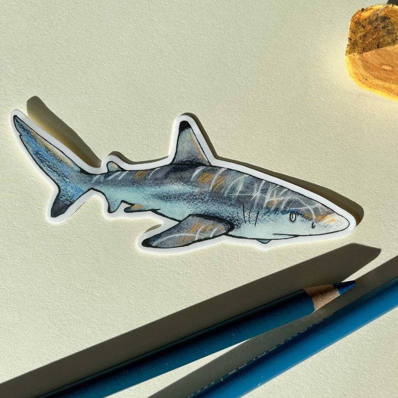 Reef Shark Sticker, Shark Sticker, Reef Shark, Shark, Ocean, Fish, Fish ...