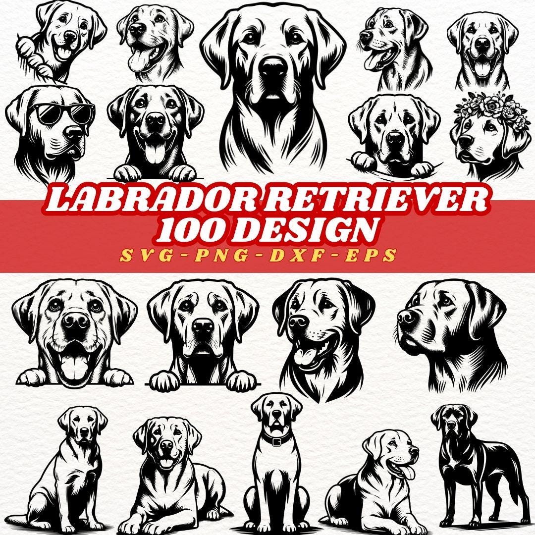 Labrador Retriever Clipart Bundle – Hand-drawn Dog SVG, PNG, DXF - Etsy