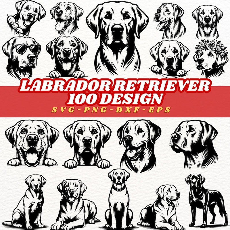 Peeking Lab Dog Png - Etsy