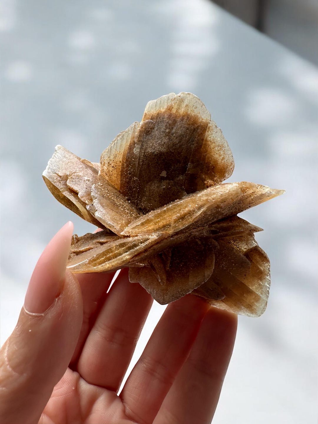White-tipped Desert Rose Selenite Crystal – Natural Sahara Sand Gypsum ...