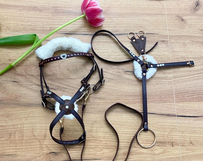 Mexican Bridle and Breastplate With Martingales Dla Hobby Horse - Etsy