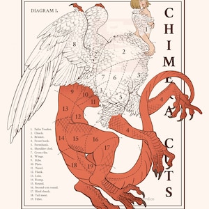 Falin Chimera Cuts T-shirt - Etsy