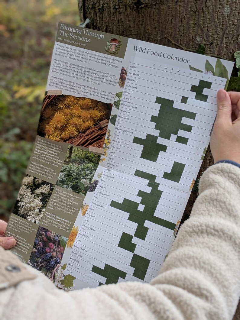 Foraging Gift Box | Wild Food Flashcards, Recipes, Foraging Guide ...