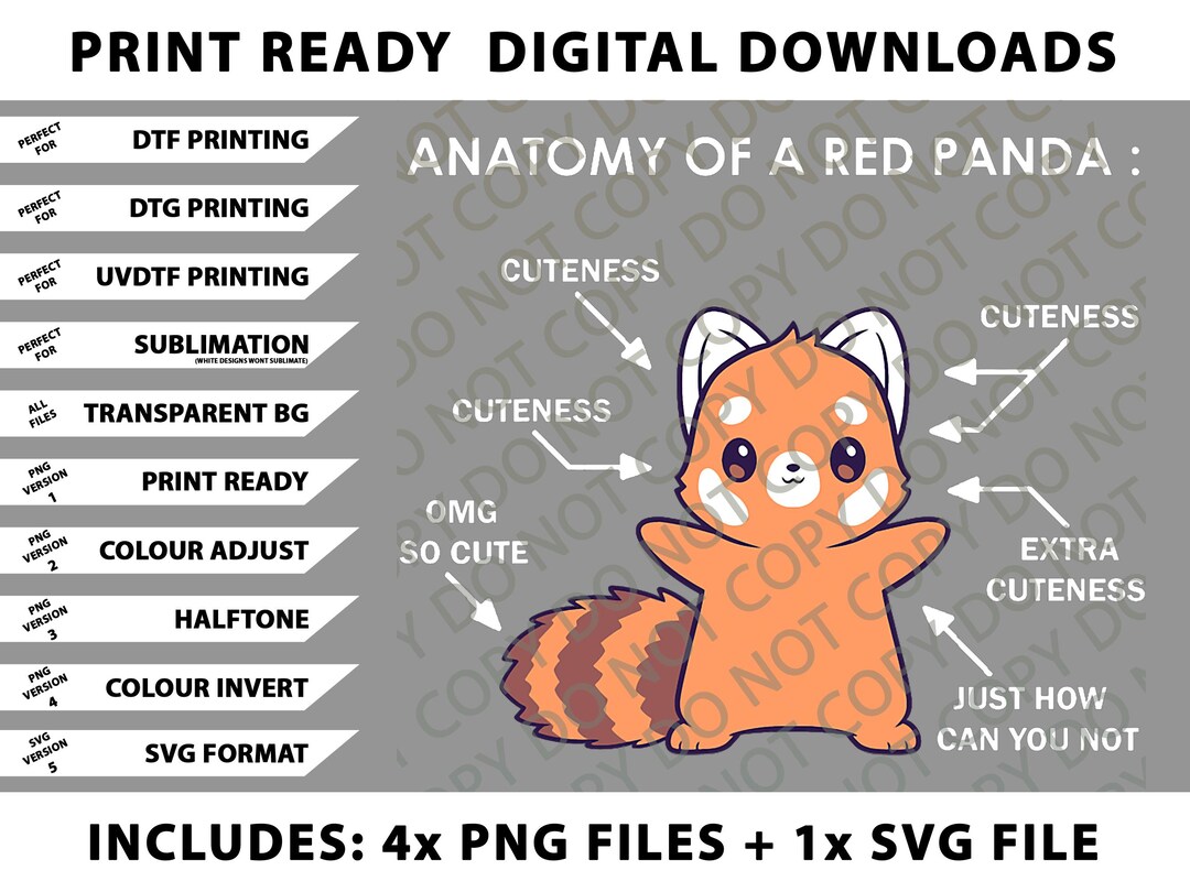 Anatomy of a Red Panda Science Zoologist Red Panda Anatomy Png Bundle ...