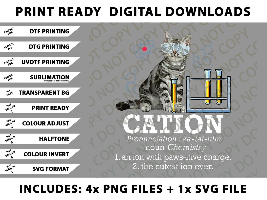 Cation - Funny Chemistry Humor Science Teacher Cat Pun Png Bundle, SVG ...