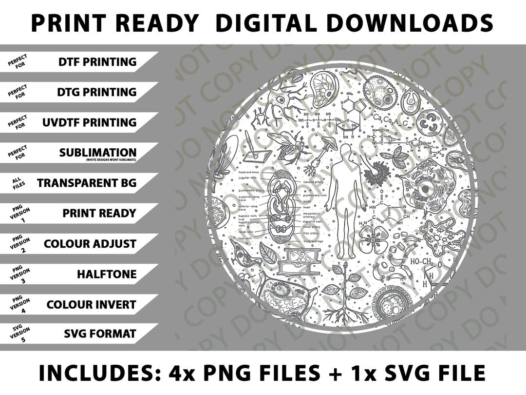 Anatomy Human Science Biology Png Bundle, SVG Files, Digital Downloads ...