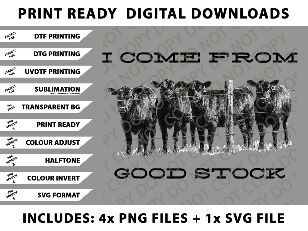 Funny Cow Gang I Come From Good Stock Farm Animals Cattles Png Bundle ...