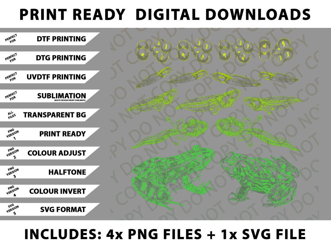 Frog Tadpole Life Cycle Biology Teacher Vintage Science Png Bundle, SVG ...