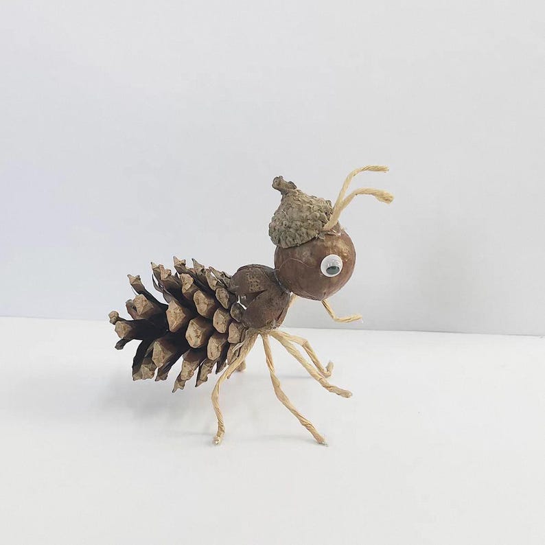 Creative Pine Cone Handmade Ant Wearing a Hat - Forest-themed Natural ...