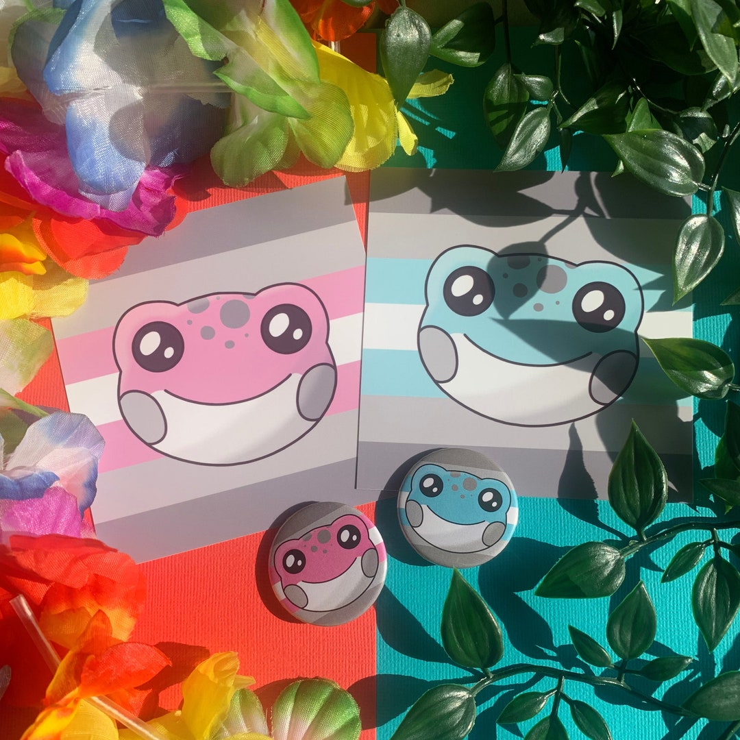 Cute Frog Demi Boy Demi Girl Pride Pin Badge and Pride Flag Print ...