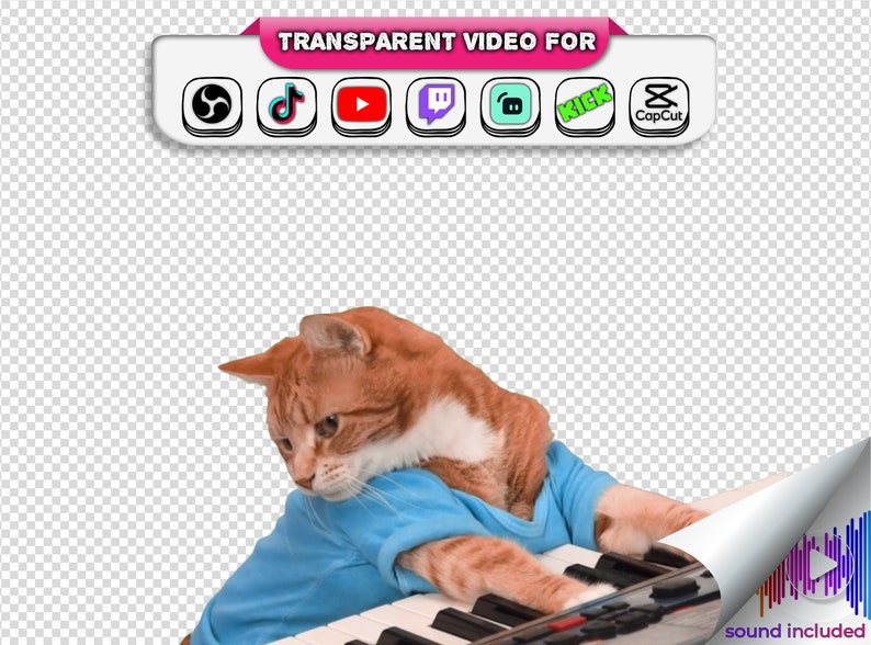 Transparent Background Keyboard Cat Memes With Audio Stream Alert Webm ...