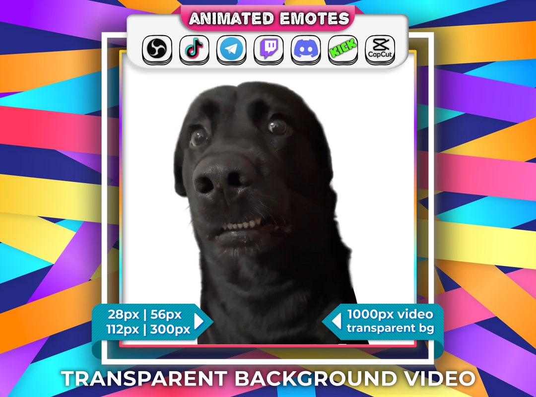 Transparent Background Black Dog Grinning Memes Animated Emotes 28px ...