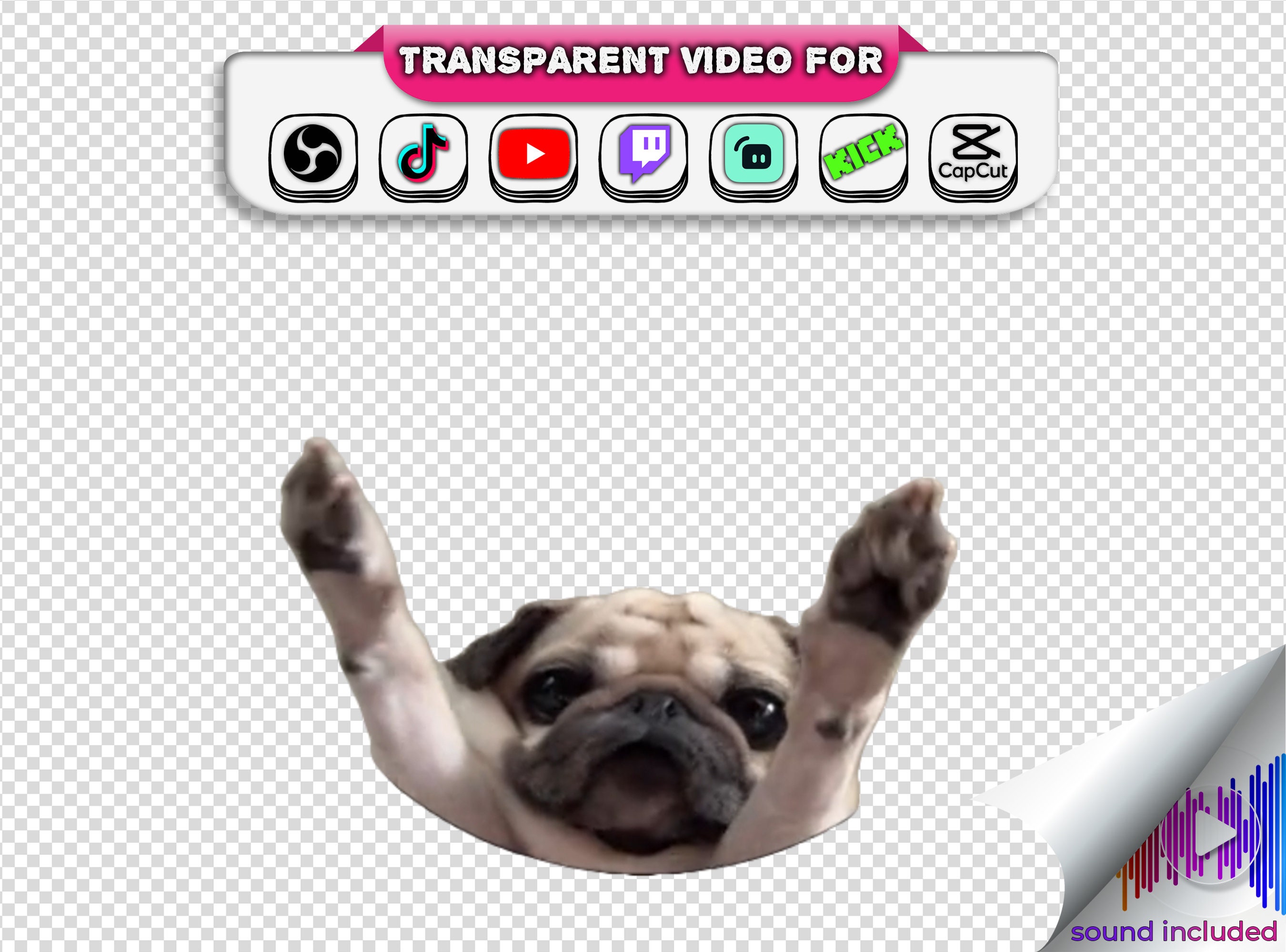 Transparent Background Pedro Dancing Dog Memes Animated Emotes 28px ...