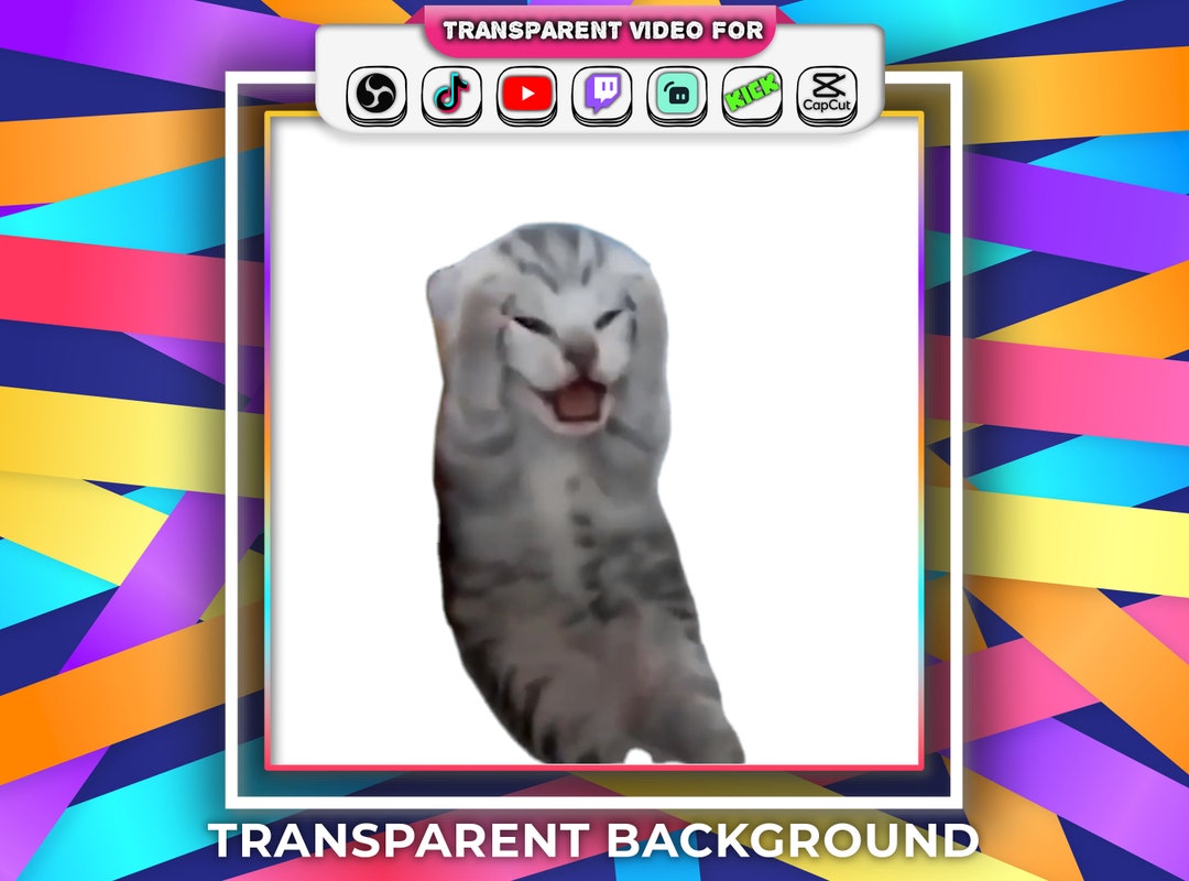 Crying Cat Meme Transparent Background Dramatic Cat Funny With Audio ...