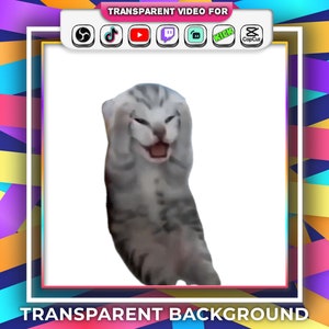 Crying Cat Meme Transparent Background Dramatic Cat Funny With Audio ...