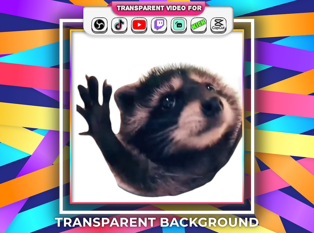 Fondo transparente Pedro Dancing Racoon Memes Emotes animados 28px ...