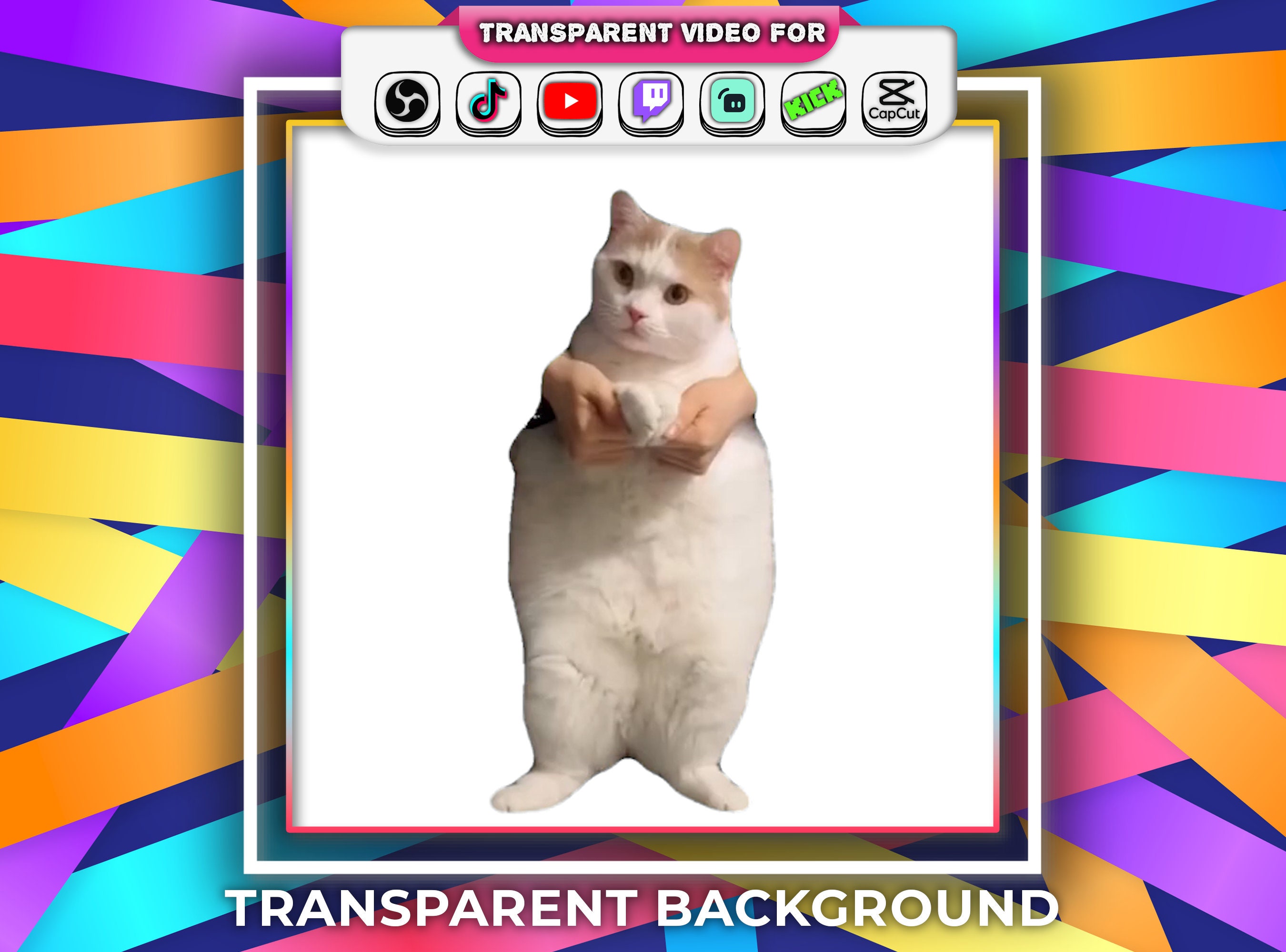 Transparent Background Cat Dancing EDM Meme Funny With Audio Stream ...