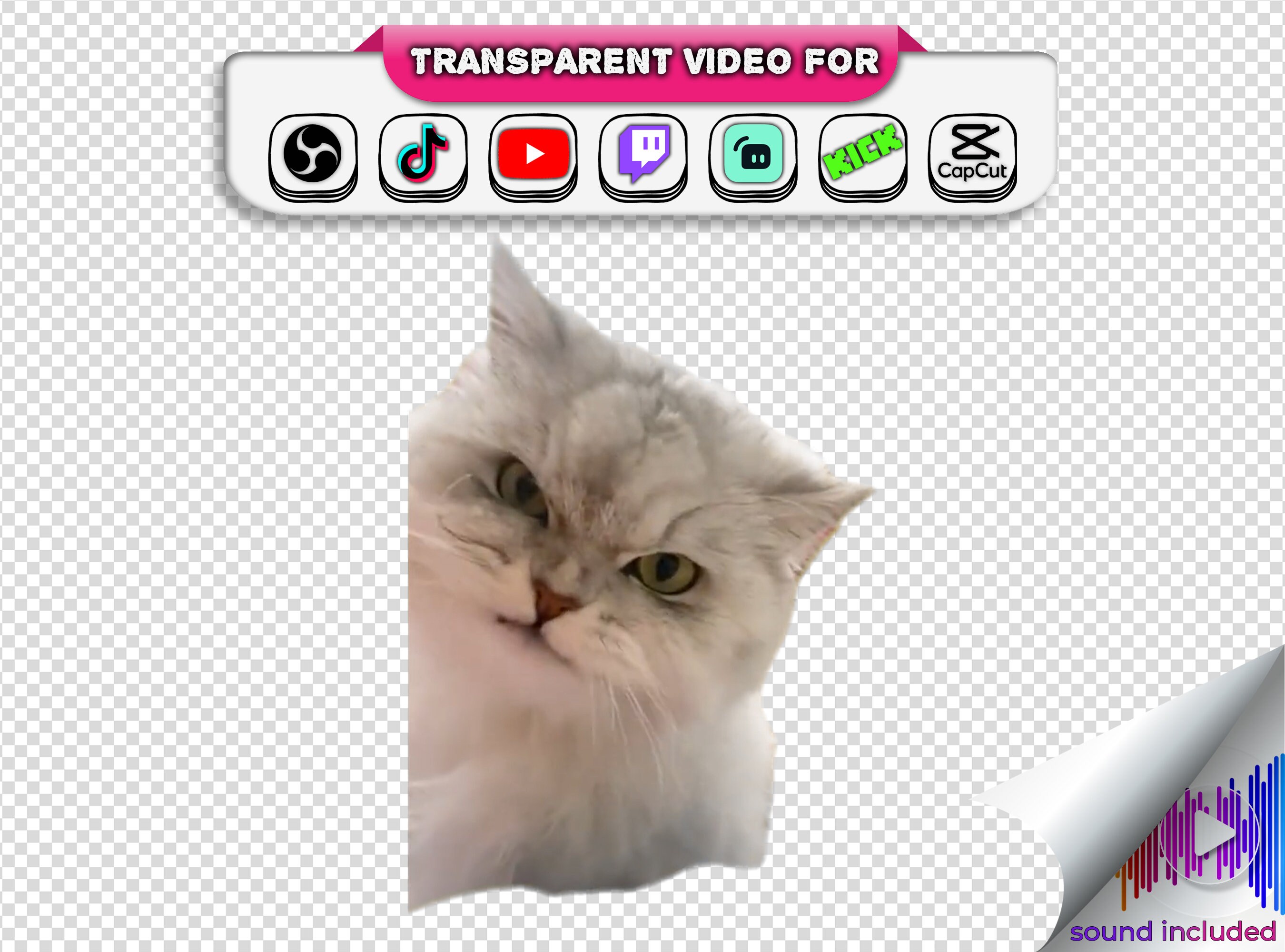 Transparent Background Angry Cat Eating Meme With Audio Stream Alert ...