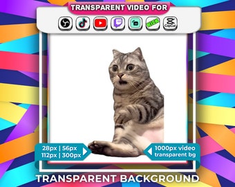 Transparent Background Cat Dancing EDM Meme Funny With Audio Stream ...