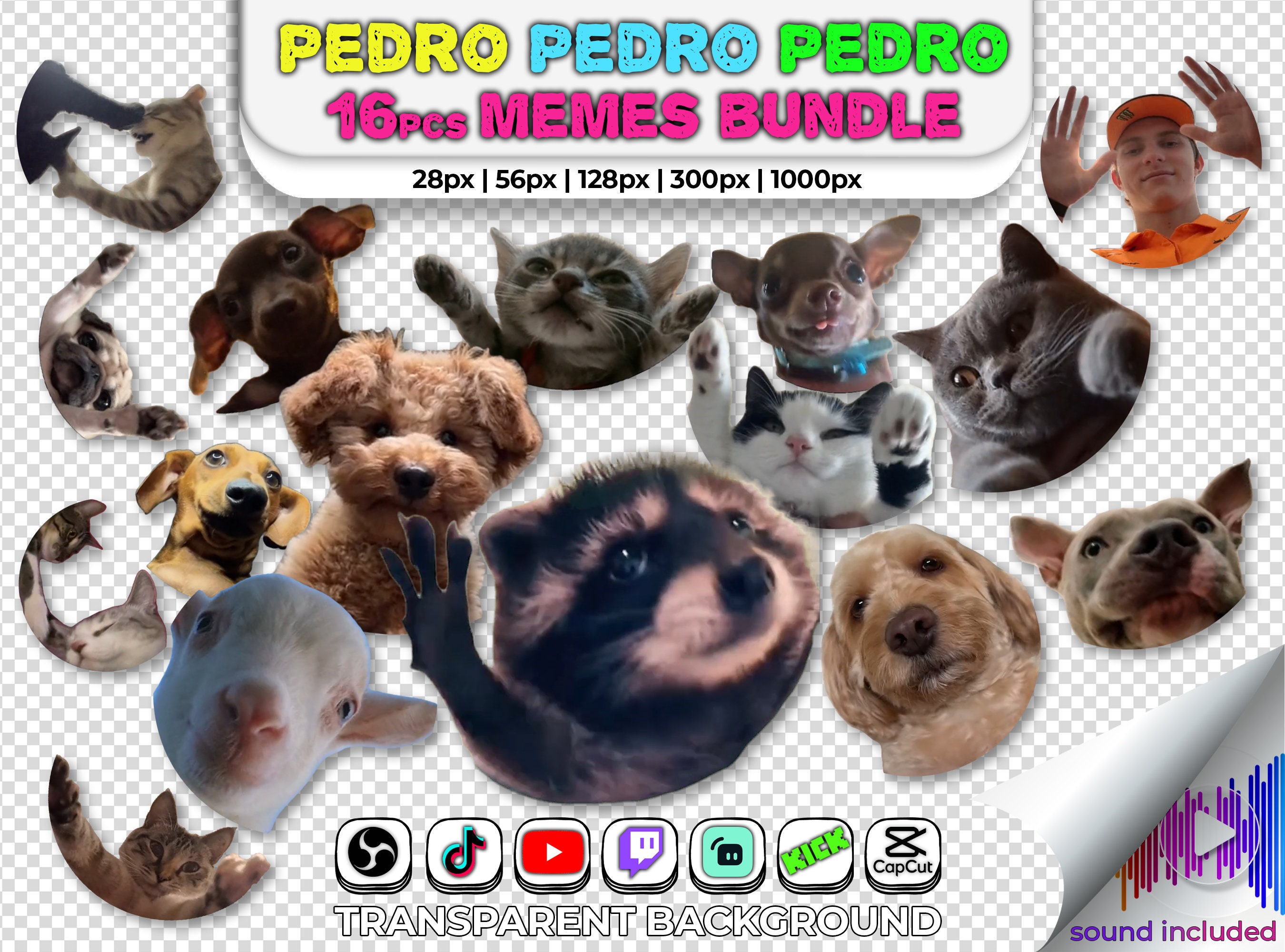 Transparent Background Pedro Dancing Meme Bundle 16pcs Cat & Dog Meme ...
