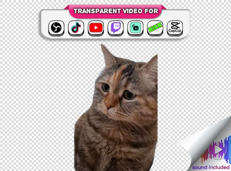 Sad Meowing Cat Meme Transparent Background Dramatic Cat Funny With ... Sad Meowing Cat Meme Transparent Background Dramatic Cat Funny With ...