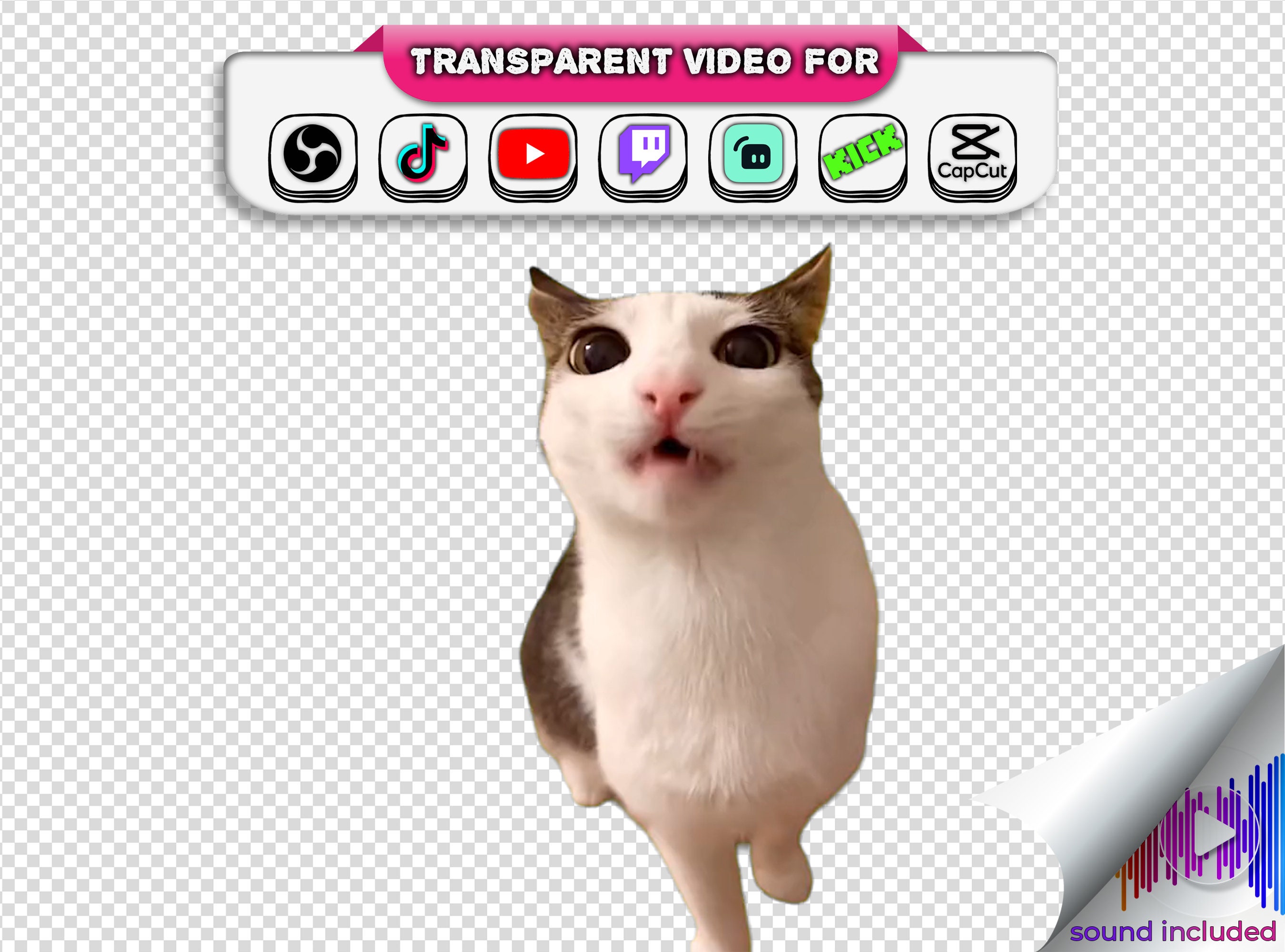 Cruncy Cat Luna Meme Transparent Background Funny Cat Eating Tiktok ...
