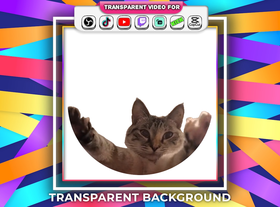 Twitch Alerts Gifs Find Share On Giphy