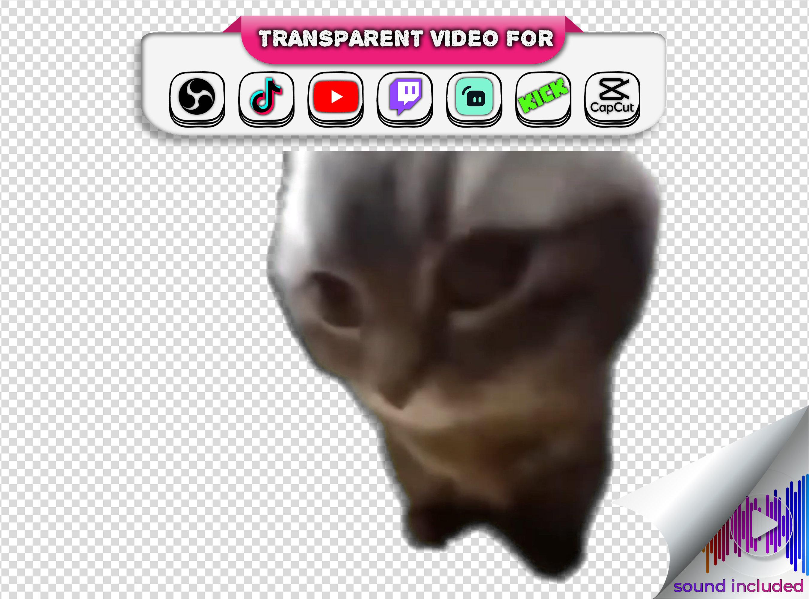 Transparent Background Chipi Chipi Chapa Cat Dancing Meme Funny With ...