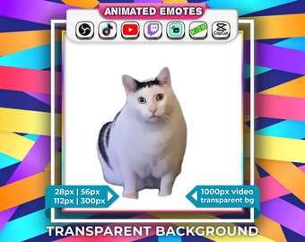 Transparent Background Shocked Cat Memes Animated Emotes 28px, 56px ...