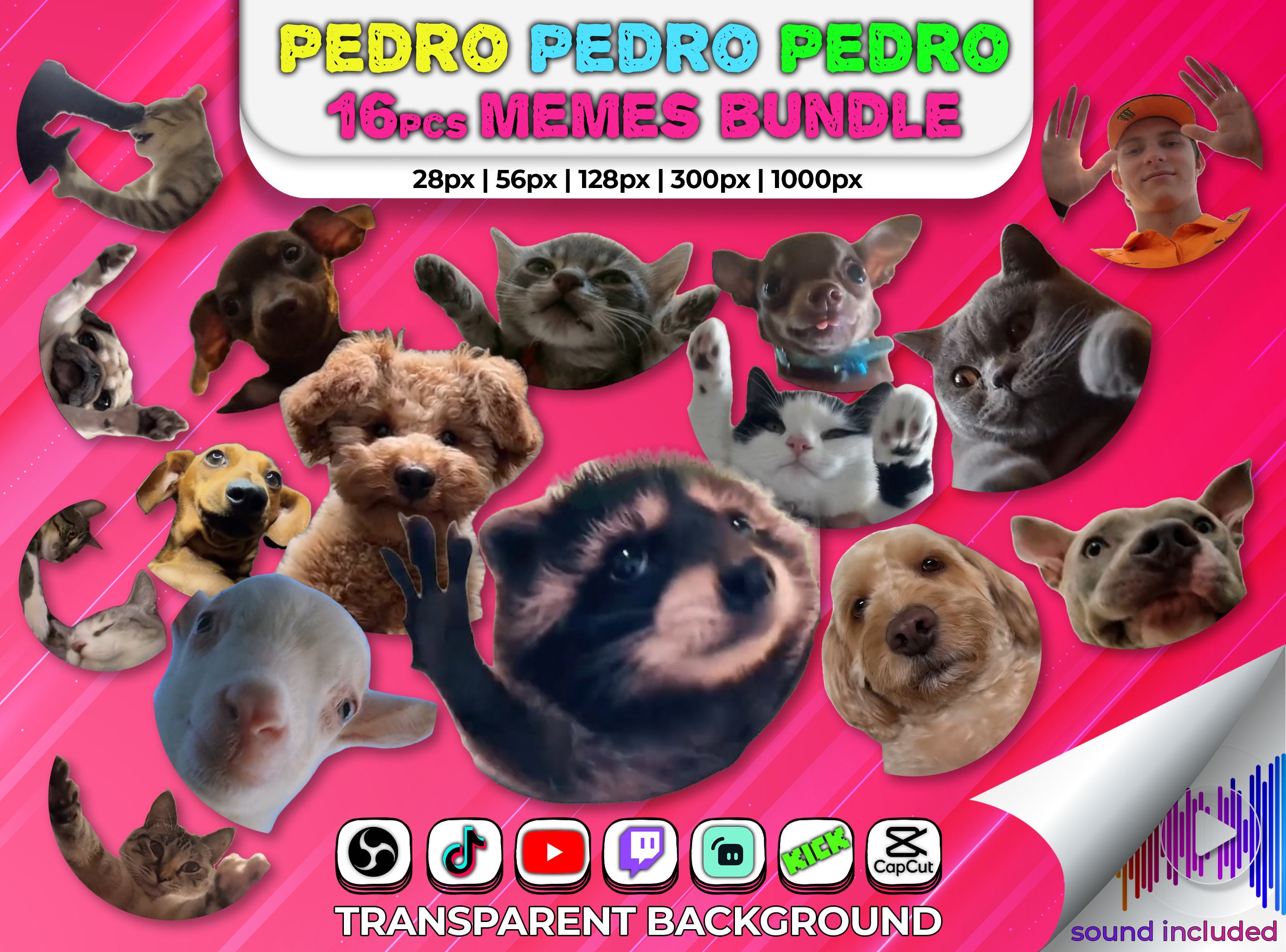 Transparent Background Pedro Dancing Meme Bundle 16pcs Cat & Dog Meme ...