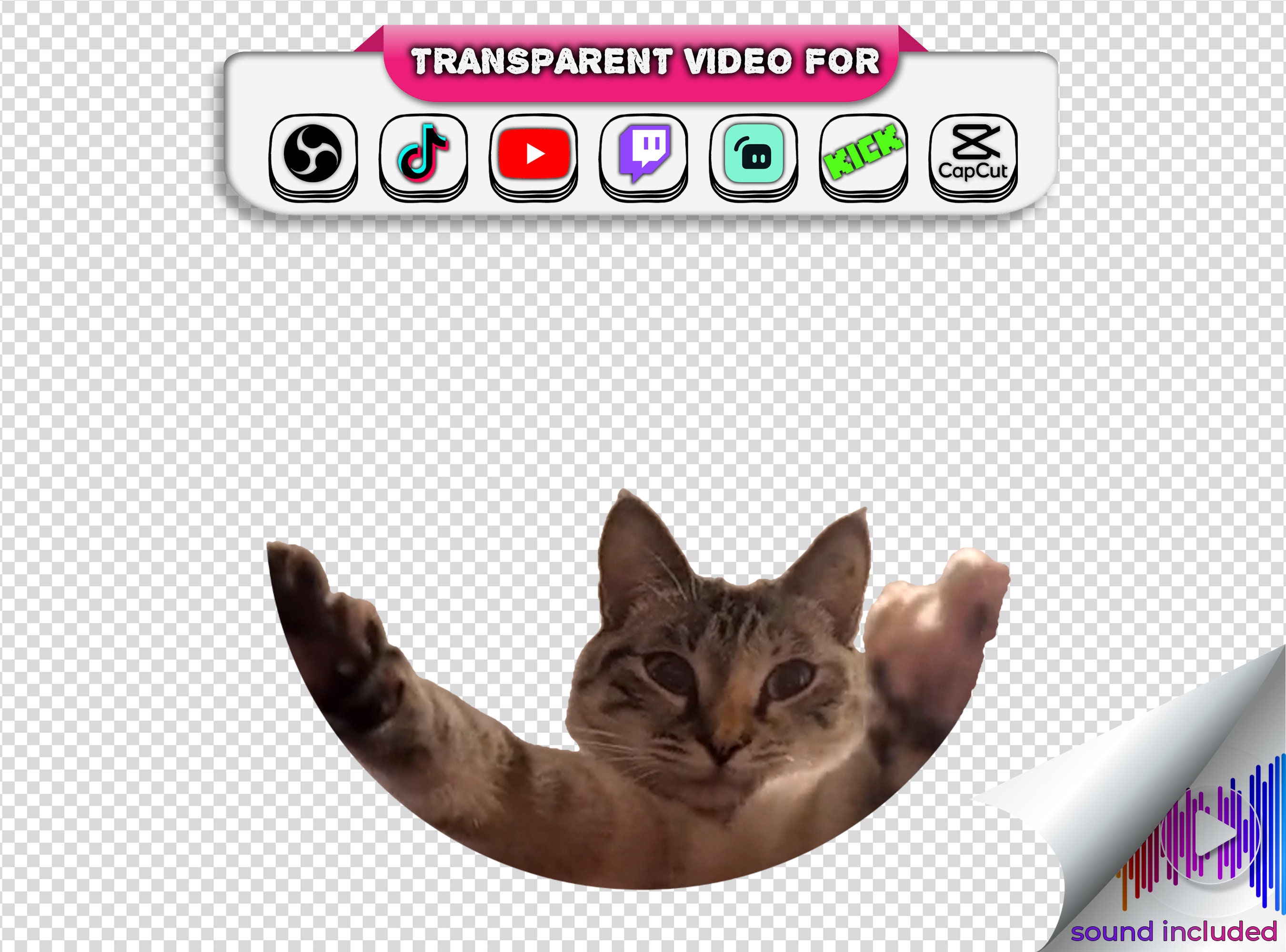 Pedro Cat Dancing Meme Animated Emotes 28px, 56px, 112px Transparent ...