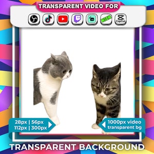 Transparent Background Talking Cats Meme With Audio Stream Alert Webm ...