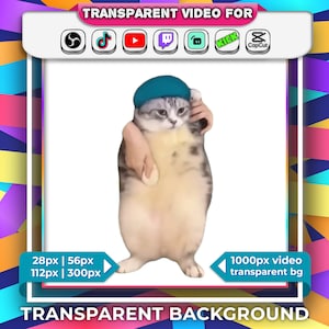 Transparent Background Cat Dancing EDM Meme Funny With Audio Stream ...