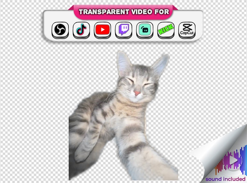 Transparent Background Cat Rizz Memes With Audio Stream Alert Webm File ...