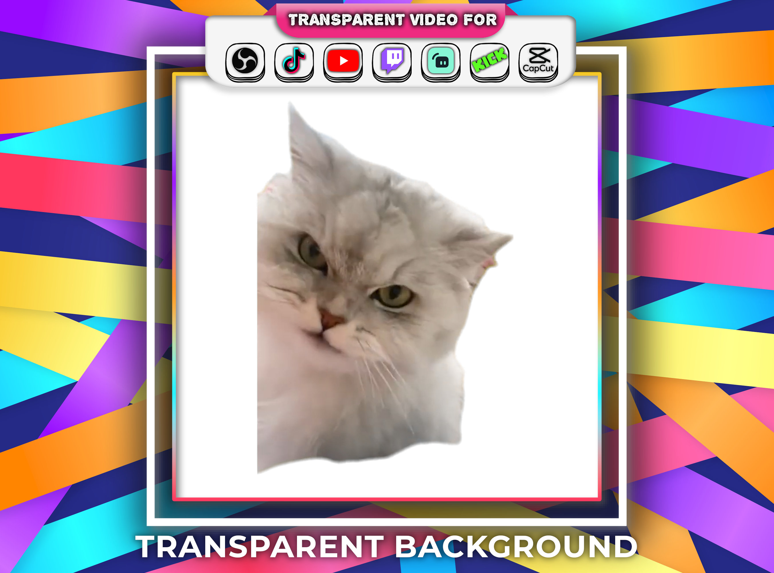Transparent Background Angry Cat Eating Meme With Audio Stream Alert ...