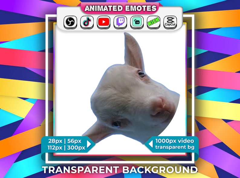 Transparent Background Pedro Dancing Meme Bundle 16pcs Cat & Dog Meme ...