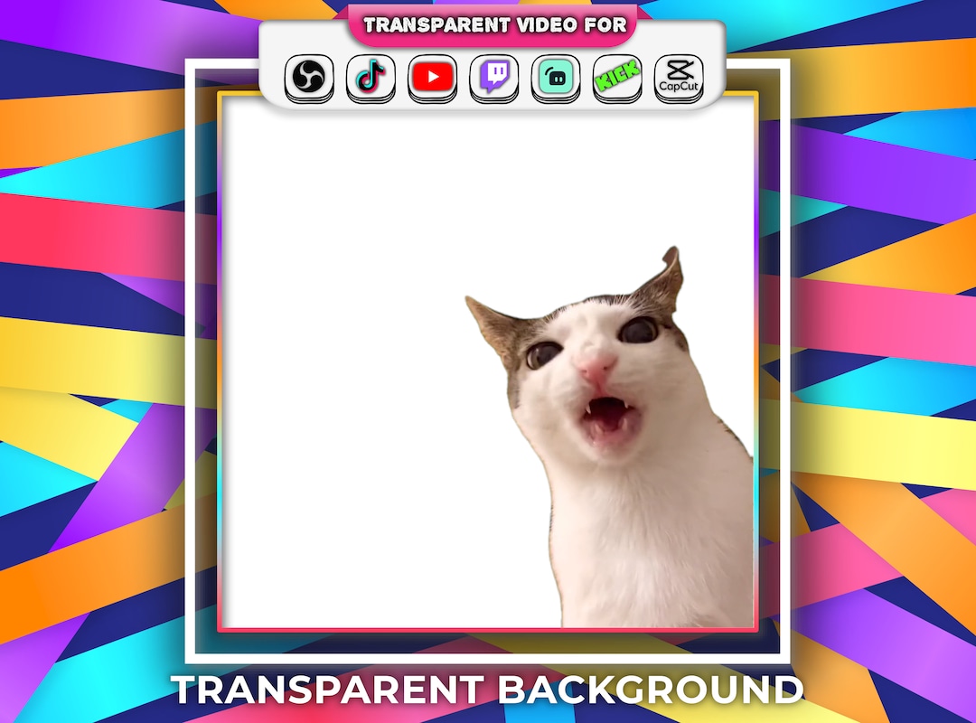 Cruncy Cat Luna Meme Transparent Background Funny Cat Eating Tiktok ...